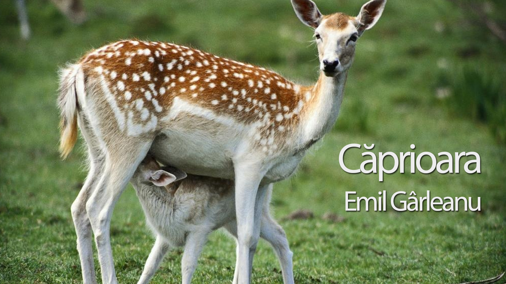 Caprioara - Emil Garleanu | Teatru Audio