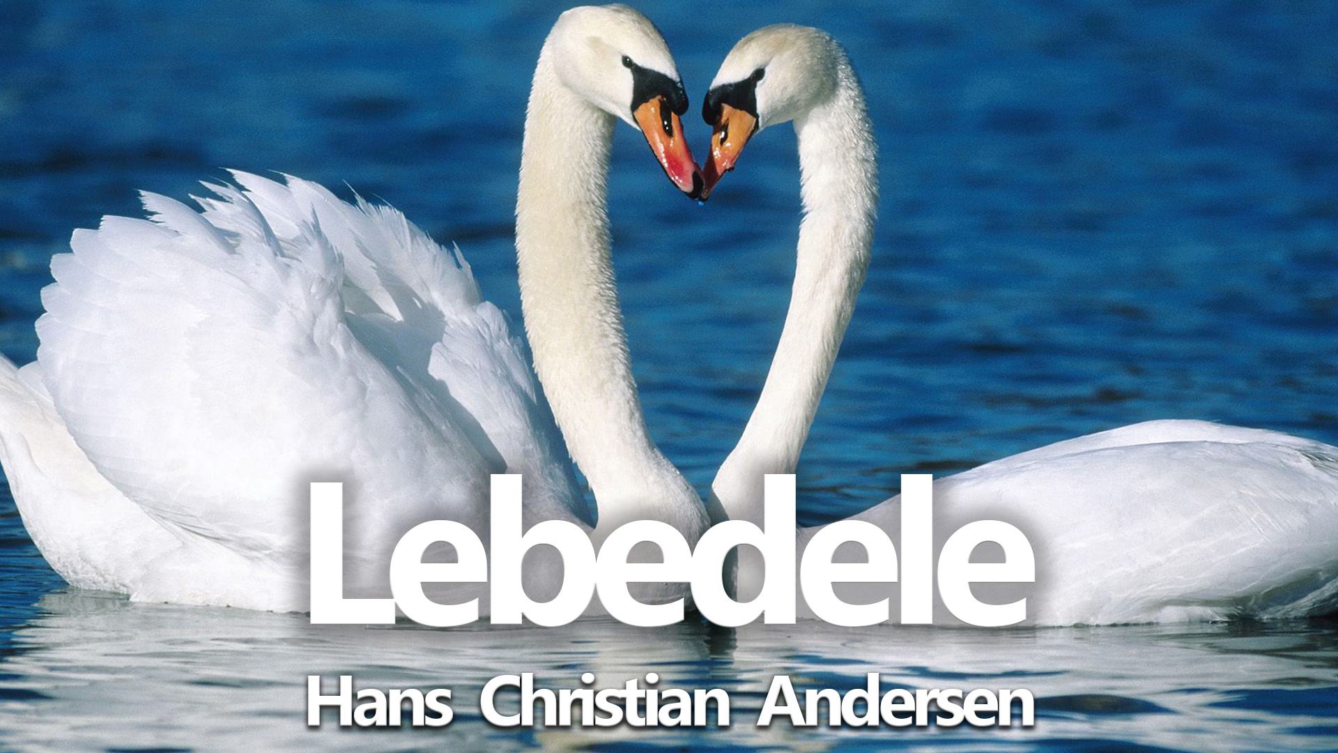 Lebedele - Hans Christian Andersen | Teatru Audio