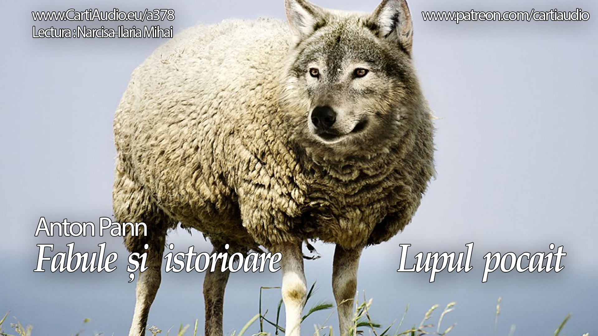Lupul pocait - Fabule si istorioare - Anton Pann