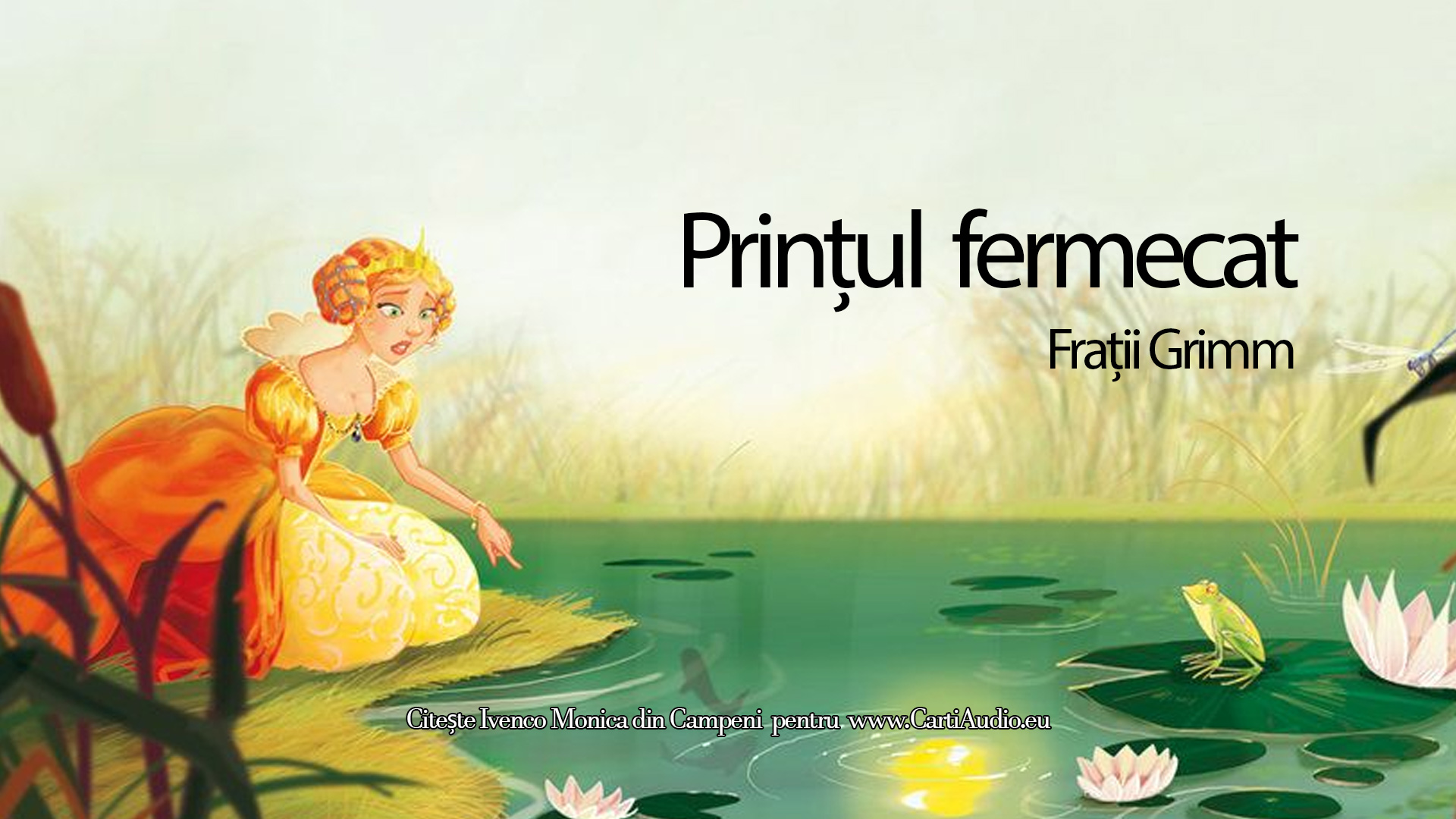 Printul fermecat - Fratii Grimm | Teatru Audio