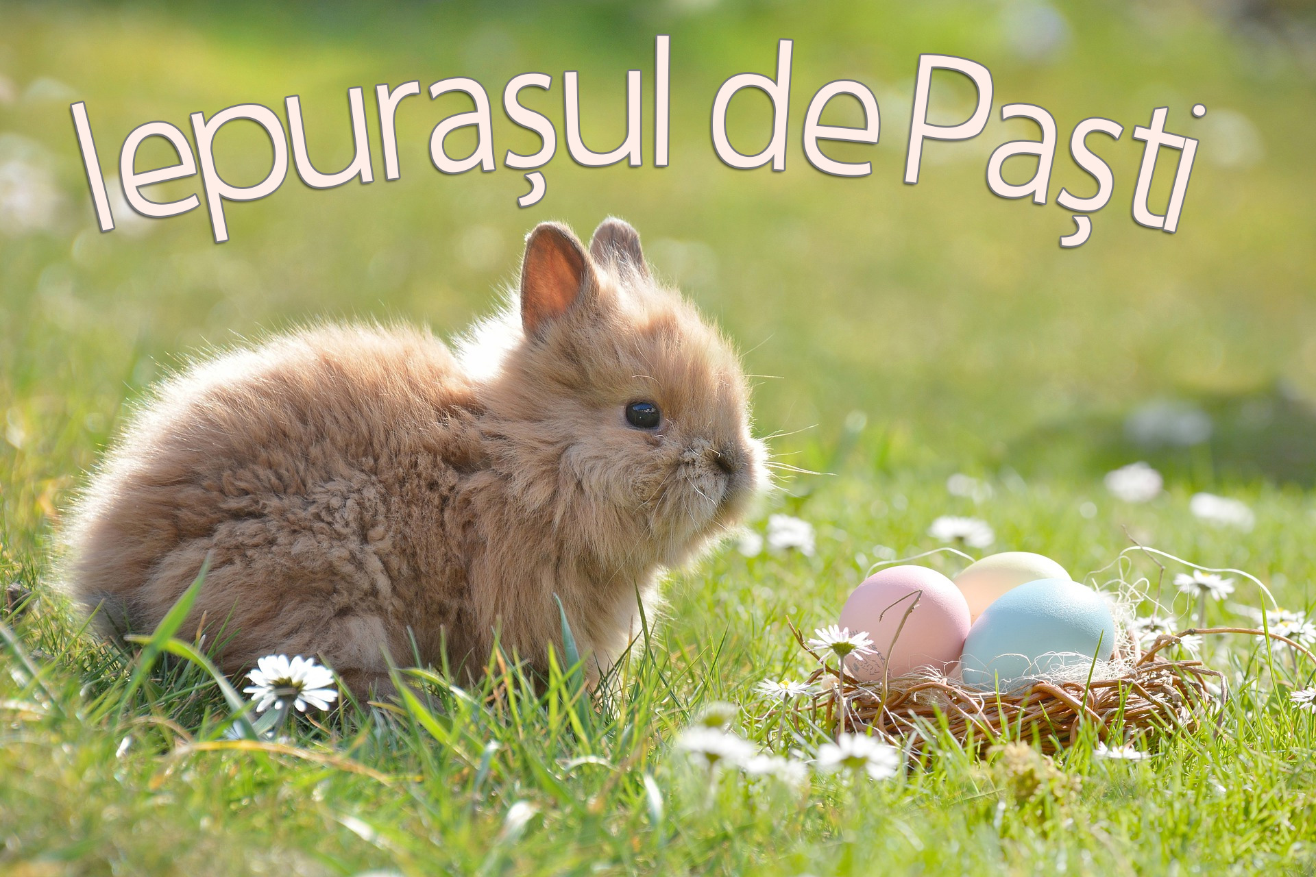 Iepurasul de Pasti - Poveste din folclorul italian | Teatru Audio