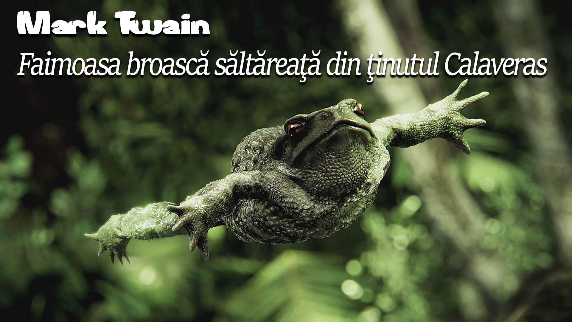 Faimoasa broasca saltareata din tinutul Calaveras | Teatru Audio