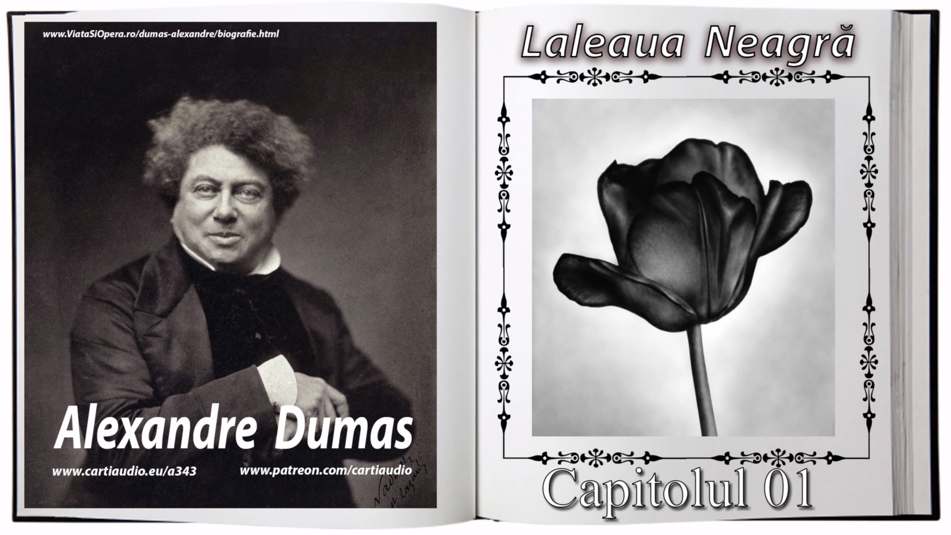 Alexandre Dumas - Laleaua neagra - Capitolul 01 | Teatru Audio