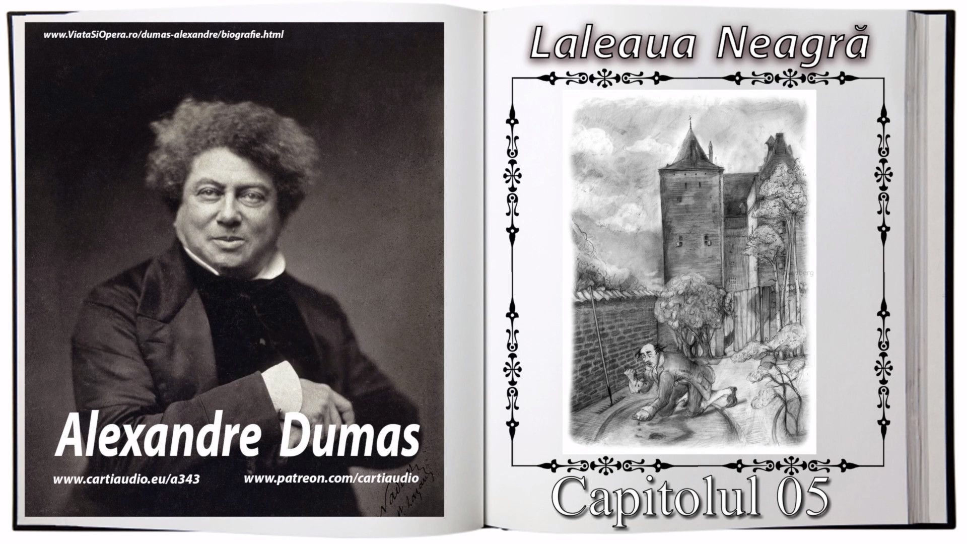 Alexandre Dumas - Laleaua neagra - Capitolul 05 | Teatru Audio