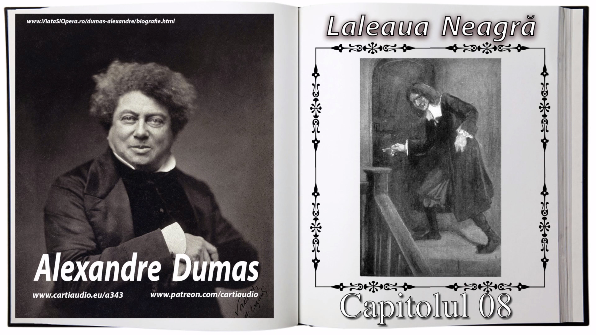 Alexandre Dumas - Laleaua neagra - Capitolul 08 | Teatru Audio