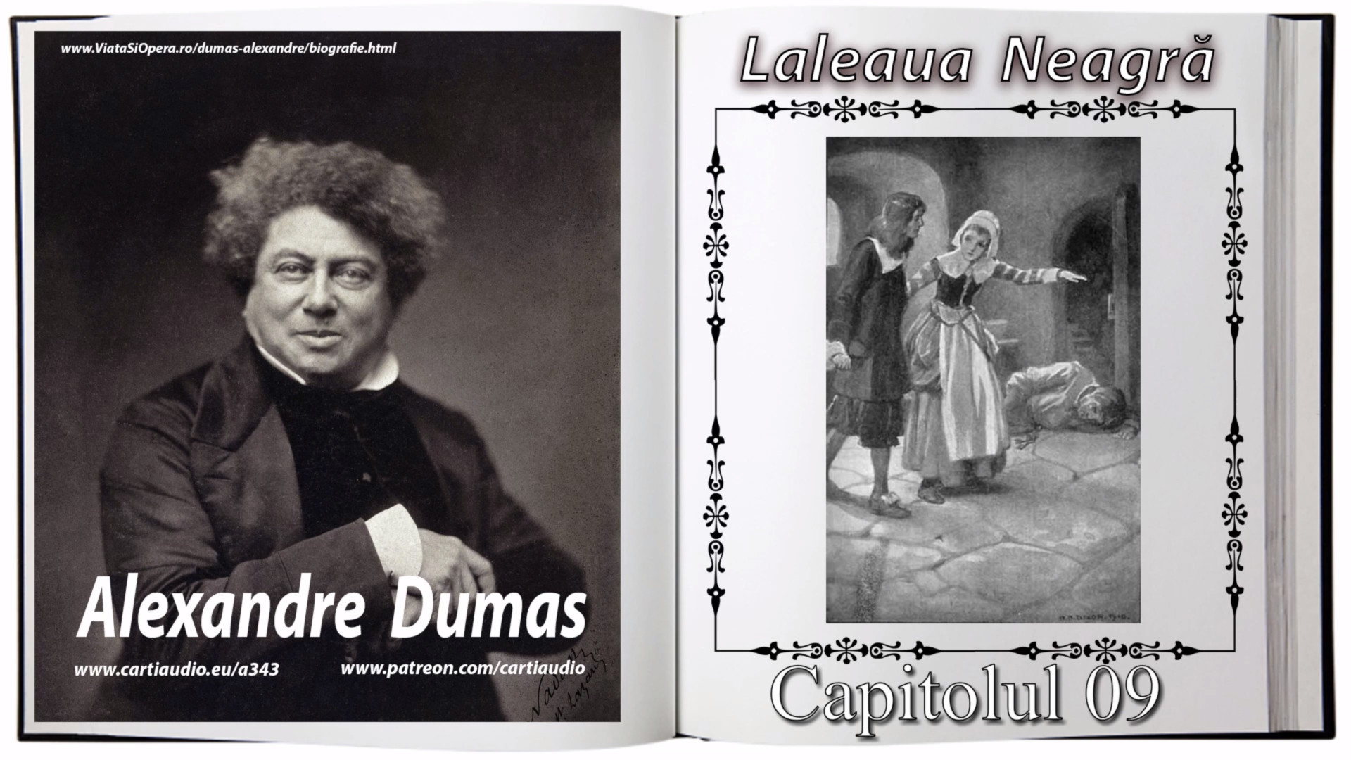 Alexandre Dumas - Laleaua neagra - Capitolul 09 | Teatru Audio